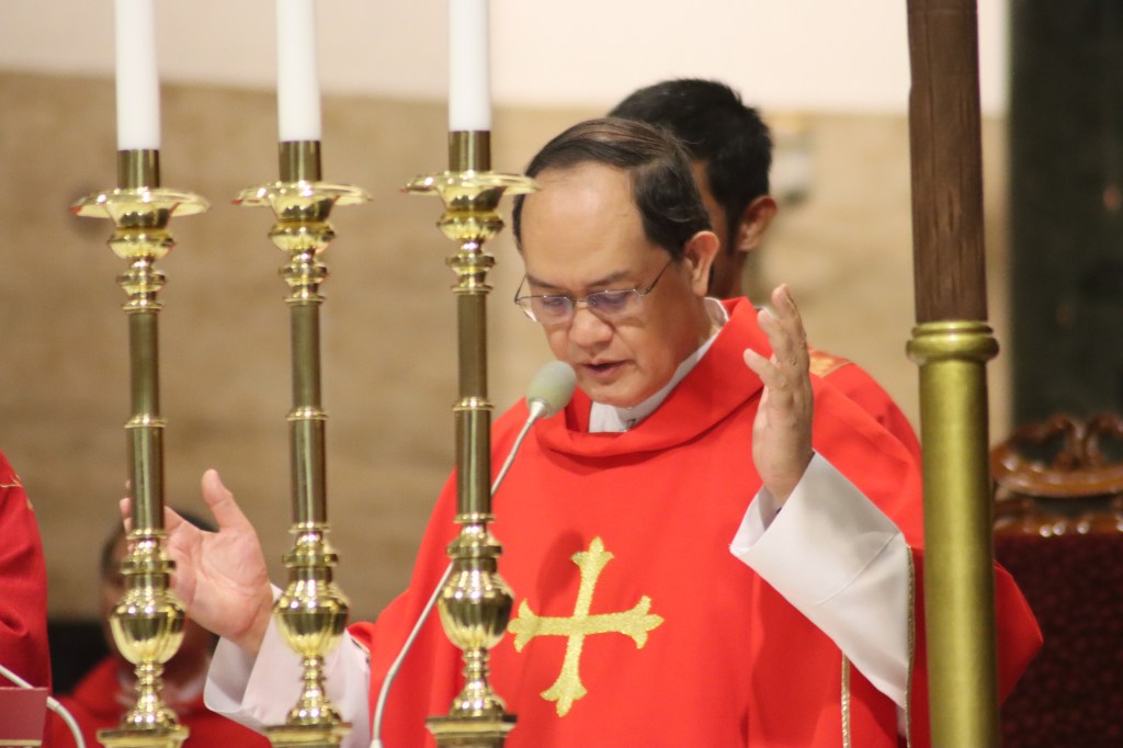 An Open Letter to Cardinal David on the Necessity of the Catholic ...
